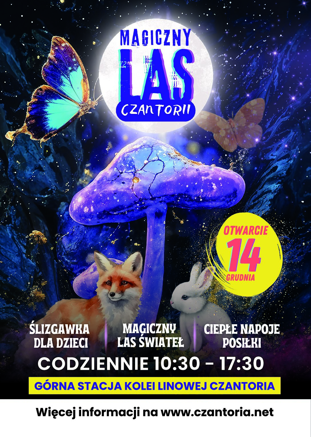 Magiczny las na Czantorii- otwarcie – Czantoria Kolej Linowa